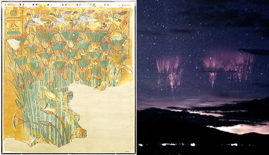 Sprites, Jets and Elves – Divine Flowers? - The God King Scenario